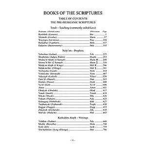 The Scriptures Large Print Duotone Charcoal Edition (ISR)
