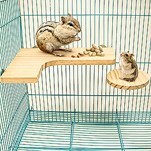 Squirrel Gerbil Chinchilla and Dwarf Hamster L-Shaped Pedal Wooden Platform, 3 Pieces of Natural Wooden Parrot Hamster Round Standing Board, Rat Activity Chinchilla Bird Cage Accessories (Style-1)