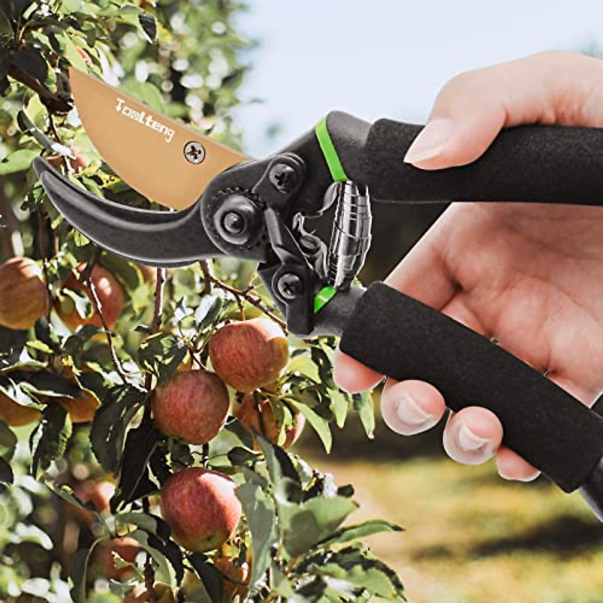 TOOLTENG Premium Bypass Pruning Shears, Heavy Duty Ultra Sharp Hand Pruners, Professional Garden Scissors, Rose Clippers for Plants and Tree Ttrimmers, Multipurpose Garden Shears for Gardening