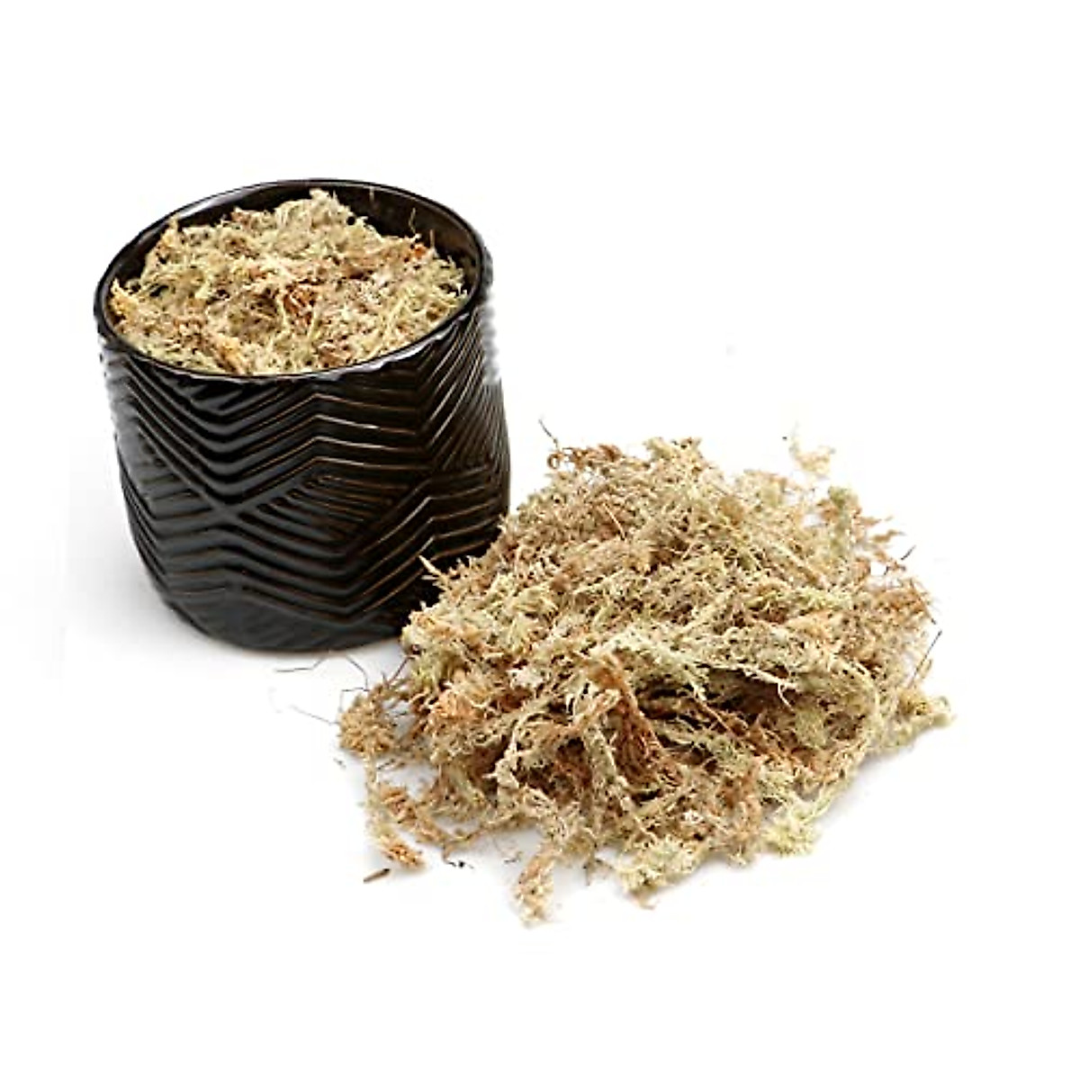 150 Grams Natural Sphagnum Moss Orchid Potting Mix, Organic Carnivorous Dried Peat Moss, Plant Supplies for Indoor Potting Soil, Perlite Blend, Reptile Bedding 3 Quart Sized Bag(Appx.5oz) by Giftape