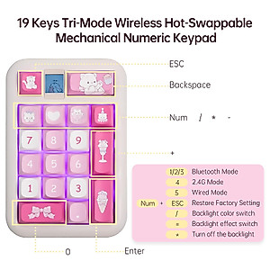 CoolKiller Rococo Hot Swappable Mechanical Numeric Keypad Num Pad for Laptop, PC, Desktop, Notebook