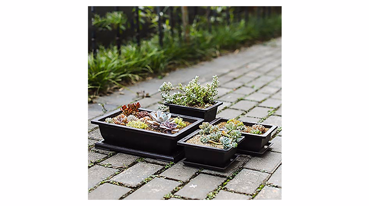 Yesland 24 Pcs Bonsai Training Pots of 6-1/2 Inch - Classic Deep ...