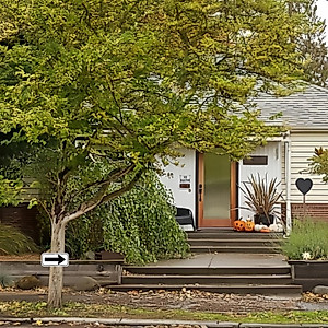 2-Pack Arrow Sign,for Indoor or Outdoor Use，12"x 6" .04" Aluminum Reflective Sign Rust Free Aluminum-UV Protected and Weatherproof