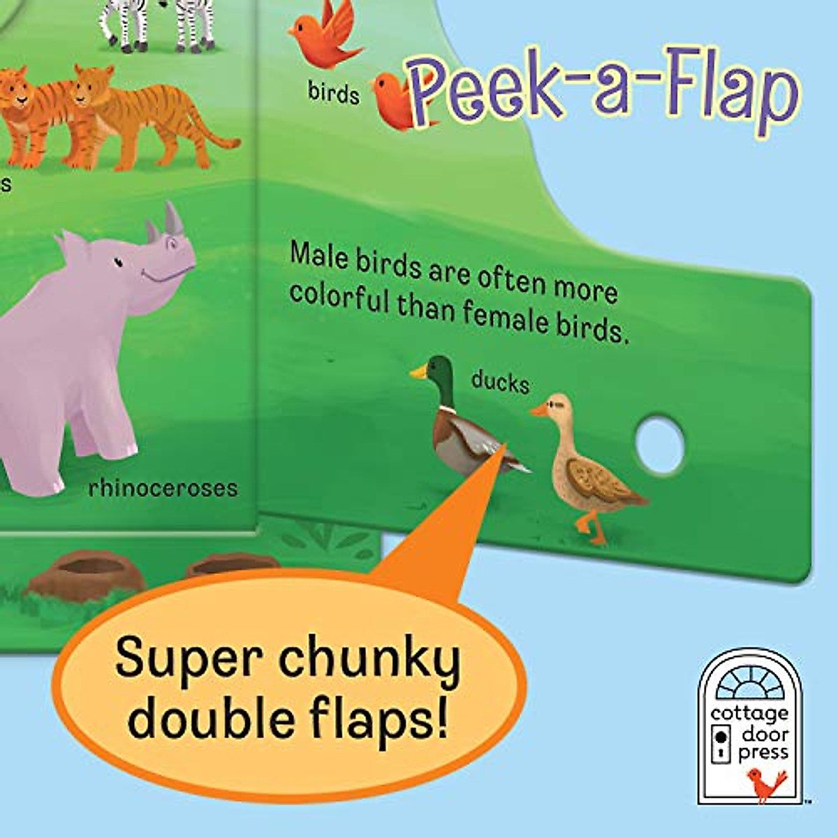 Peek-a-Flap Noah - Children's Lift-a-Flap Board Book Gift for Easter, Christmas, Communion, Baptism (Little Sunbeams)
