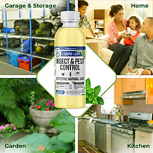 Mighty Mint Insect & Pest Control Peppermint Concentrate 8 oz - Makes 1 Gallon - Plant-Based Formula Kills and Prevents Spiders, Ants, Flying Insects, and More