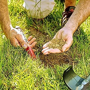 XP Metal Detectors MI-6 Pinpointer, with Wireless connectivity to The Deus II, Deus & ORX Metal detectors, by XP Metal Detectors to be Used by All detectorists (MI-6-AM)