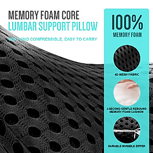 Tengyue Lumbar Support Pillow - Ergonomic Design for Office Chair, Car, and Home - Relieve Back Pain & Improve Posture - (Black)