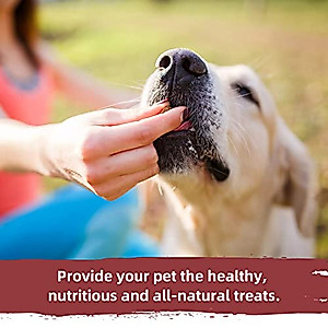 Jungle Calling Soft Chicken Treats for Dog and Cat, Natural Grain Free Chewy Food Snacks for Training Rewards for Small Dogs, High Protein, 10.6 oz