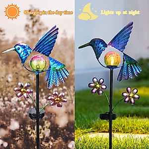 Afirst Solar Garden Stake Lights - Outdoor Waterproof Decorative Solar Lights, Hummingbird LED Warm Crackled Glass Globe Lights for Walkway, Pathway, Yard, Lawn
