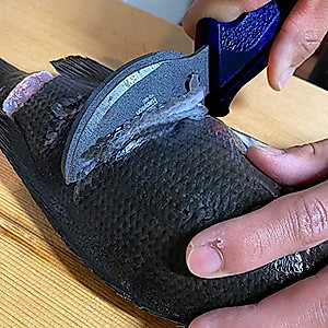 Hapyson YQ-880-G Tsumoto Type Measurement Multi Scissors, Green, Approx. 7.3 x 2.4 x 0.9 inches (185 x 60 x 22 mm)