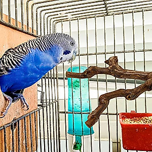2 Packs Parrot Bird Perches,Natural Wild Grape Stick Grinding Paw Climbing Standing Cage Accessories Toy for 3-4 Parakeets, Budgies, Lovebirds,Cockatiels (Style-1)