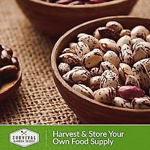 Survival Garden Seeds - Jackson Wonder Lima Seed for Planting - 5 Packs with Instructions to Plant and Grow Purple Speckled Butter Beans in Your Home Vegetable Garden - Non-GMO Heirloom Variety