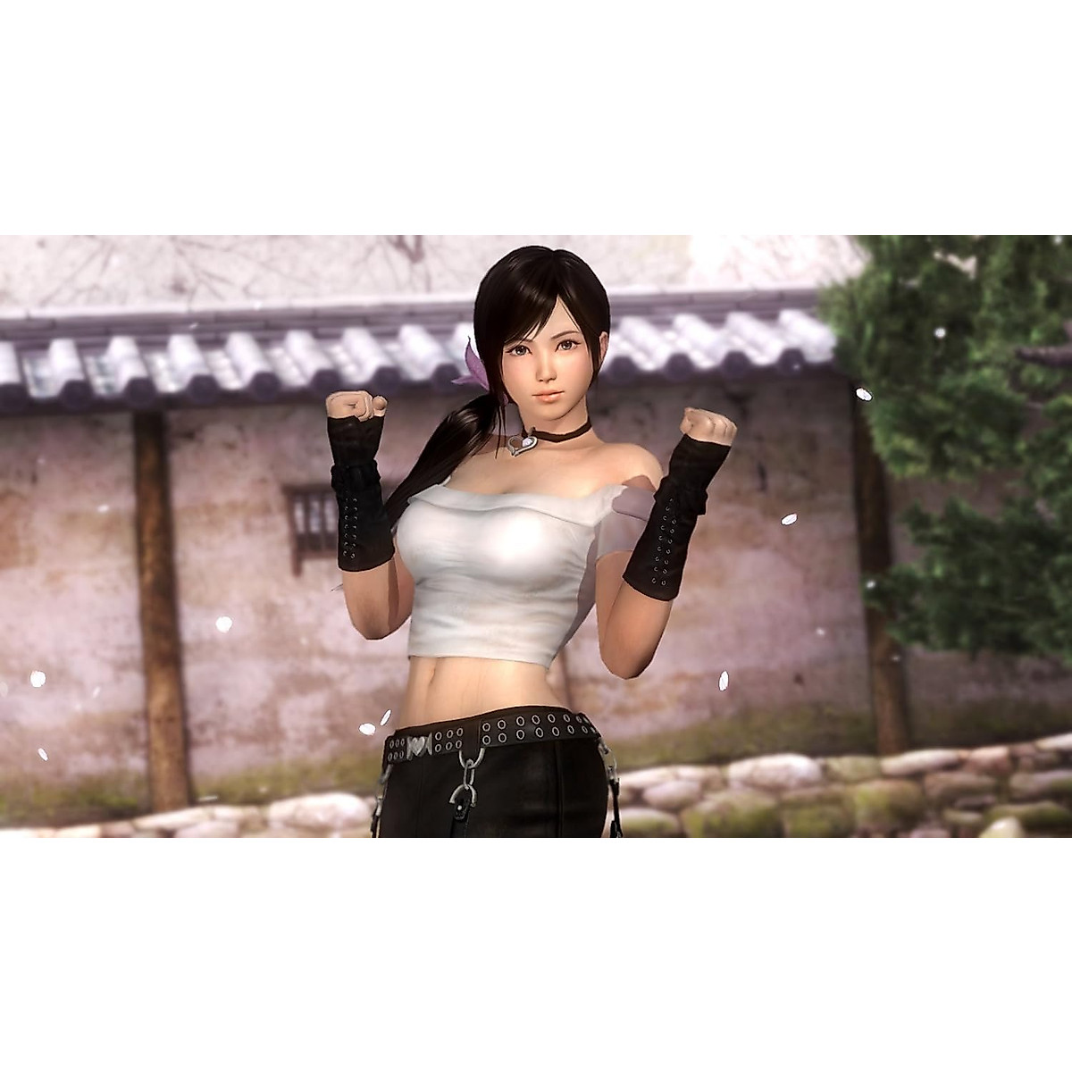 Dead or Alive 5 Ultimate - PS3