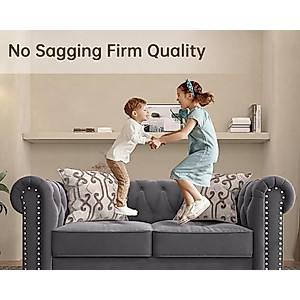 Morden Fort Classic Chesterfield Loveseat Set 60'', Tufted Loveseat Sofa Set with Solid Wood Legs Thick Cushion, Pet-Friendly 2-Seater Sofa Couch for Living Room Bedroom Apartment - Velvet Grey