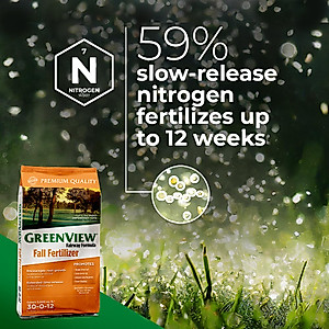 Greenview Fairway Formula Fall Lawn Fertilizer - 22.5 lb. Bag - Covers 7,500 Sq. Ft.