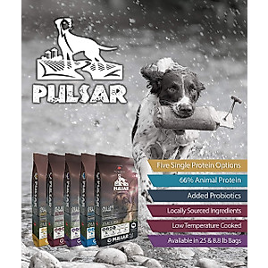 Horizon Pet Nutrition Pulsar Grain Free, Non GMO, Meat Dense All Life Stage Dry Dog Food, 25 lb, (HRN-012)