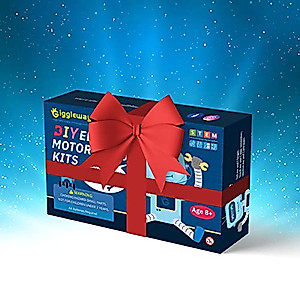 Giggleway DIY Wood Stem Robot Building Kits, Electric Motor Woodworking Project Science Kits for Kids, Hands on STEM Learning Project Kits, 3D Puzzles Wood Stem Building Toys for Boys & Girls