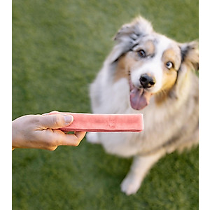 Downtown Pet Supply Strawberry Yak Chews for Dogs, Nutrient-Rich Himalayan Dog Chews, Long Lasting, Odorless and Easy to Digest - 1 LB