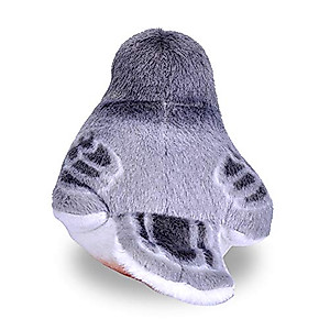 Wild Republic Audubon, American Robin Plush Authentic Sound, Stuffed Animal, Bird Toys for Kids, American Robin