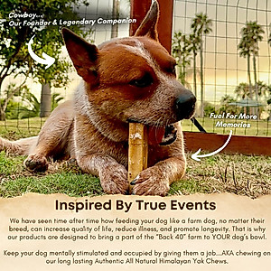 Back 40 Dogs Himalayan Yak Cheese Dog Chews – Long-Lasting Natural Chews for Aggressive Chewers – 2-Ingredient, High Protein, Odorless, Dental Health Treats for Dogs (Large, 4 Pack)