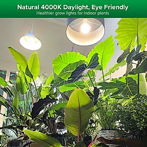 SANSI Grow Light Bulb with COC Technology, Full Spectrum 15W Grow Lamp (200 Watt Equivalent) with Optical Lens for High PPFD, Perfect for Seeding and Growing of Indoor Plants, Flowers and Garden