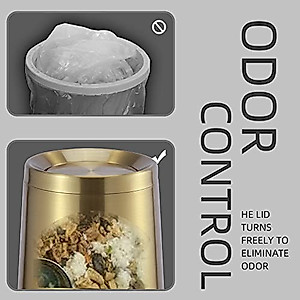 BRIEFHUMAN Household Swing Gold Bathroom Trash Can，Brushed Stainless Steel，10 L/3 Gallen，Garbage Can with Flipping Lid， for Indoor or Commercial Use, Kitchen,Modern，Living Room,Bedroom