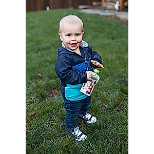 Sprout Organic Baby Food Toddler Power Pak Pouches Stage 4, Apple w/ Superblend Blueberry Plum, 4 Ounce Pouches (Pack of 12)