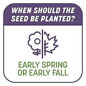 Pennington Smart Patch Dense Shade Mix Jug 5 lb