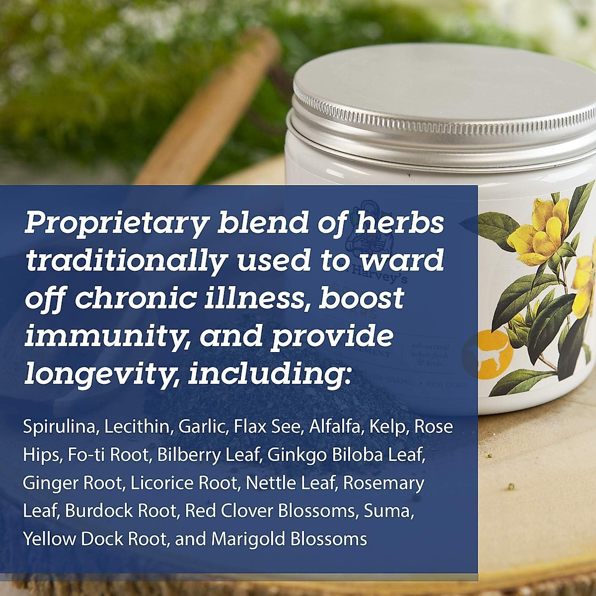 Dr. Harvey's Golden Years Geriatric Herbal Supplement for Senior Dogs, 7 Oz