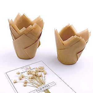 Tulip Cupcake Liners,200Pcs Parchment Paper Muffin Liners for Baking, Non Stick Cupcake Wrappers for Cup Cake, Weddings, Birthdays and Party, Christmas (Brown-Natural-Yellow-Green Mixed)