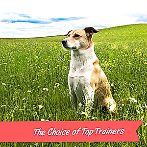 Pet Botanics Training Rewards Treats for Dogs, Made with Real Pork Liver, Focuses, Motivates, Rewards, Speeds Up Learning Curve, No BHA, BHT, Ethoxyquin, Bacon, 20 oz (1 pack)