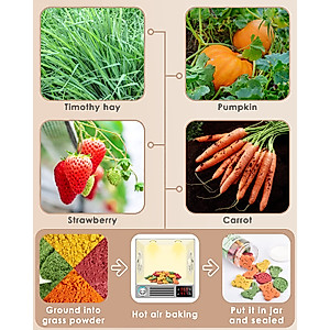 Bissap 32PCS Bunny Chew Toys, Mixed Natural Timothy Hay Pumpkin Strawberry Carrot Chinchillas Chewing Toys and Treats for Rabbit Bunny Guinea Pig Hamster Gerbil and Other Small Animals Molar Snacks