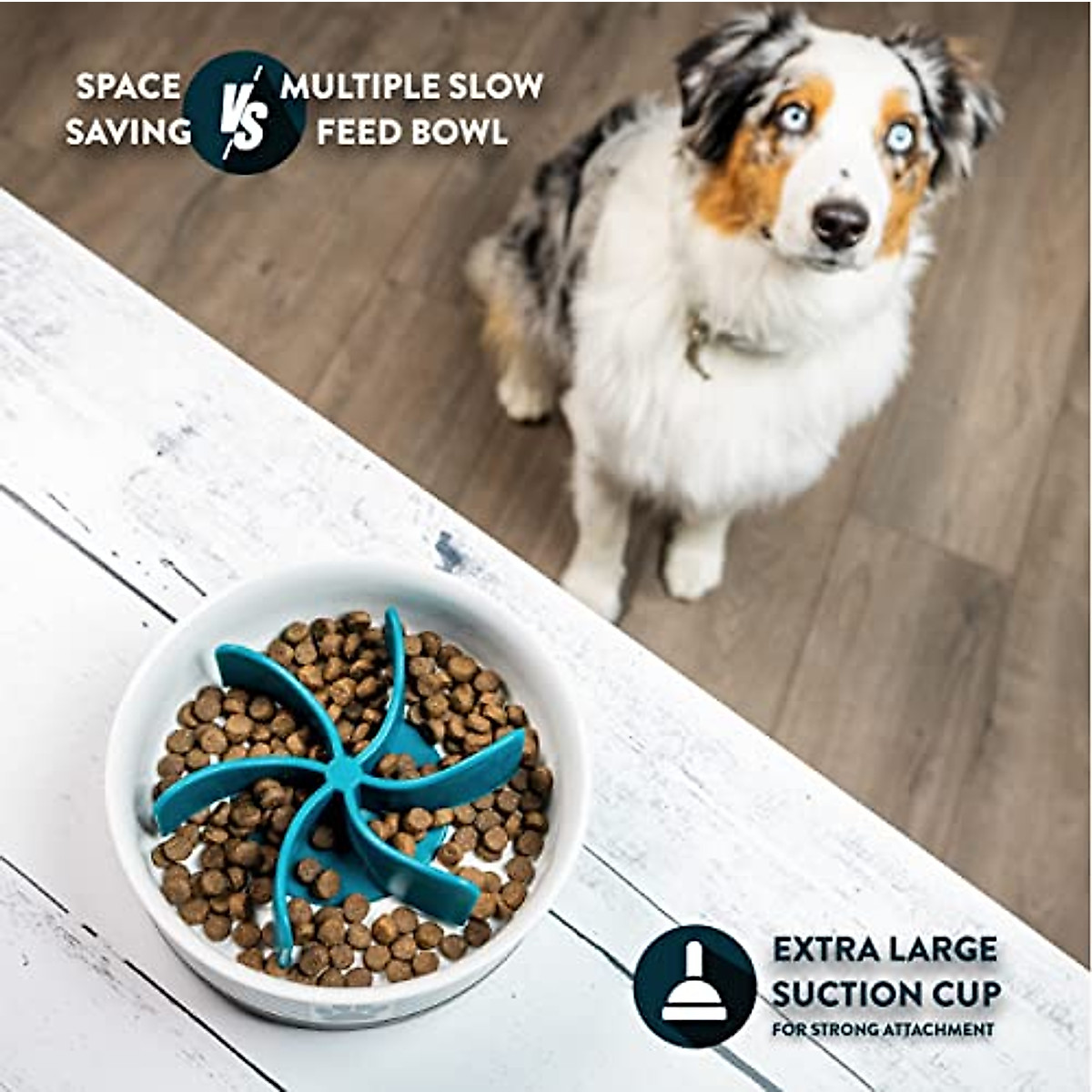 Our Pets Spiral Slow Feeder Insert Slow Feeder Dog Bowls | Turn a Dog Bowl or Dog Dish into a Dog Bowl Slow Feeder (Alternative to Dog Puzzle Feeder, Lick Mat, Dog Slow Feeder to Slow Down Eating