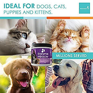 Enzymes for Cats & Dogs : Enzyme Miracle® (100 Servings) : for Digestive Stress, Pancreatic Concerns, and Healthy Weight Management.