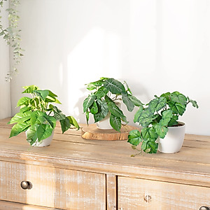 Dahey 3 Pack Fake Potted Plant Artificial Plants for Home Decor Indoor Broad Leaved Faux Plants Indoor Desk Plant with 4 Inch Frosted Plastic Planter for Office Bathroom Greenery Decoration