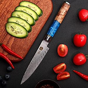 Dnifo Kitchen Utility Knife 5 Inch, Damascus Steel Kitchen Knives -Super Sharp Ultimate All-Purpose Knife for Slicing, Mincing, Chopping - Non-stick Blade and Anti-rusting Forged