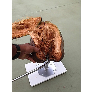 Gitachi EASY Coconut Husk opener 17 inch Tall- Stainless