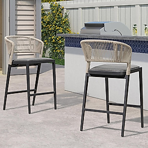 PURPLE LEAF Counter Height Bar Stool Set of 2 Modern Aluminum Rattan Wicker Outdoor Barstools with Backrest and Cushion for Kitchen Lawn Pool Bar Chairs Dark Grey