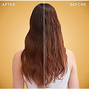 Garnier Whole Blends Honey Treasures Repairing Shampoo and Conditioner, For Dry, Damaged Hair, 22 Fl Oz Ea, 1 Kit (Packaging May Vary)