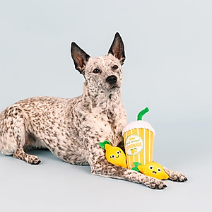 Fringe Studio Plush Dog Toy Set, Pucker Up, 3 Piece Set, Pet Shop Collection (312504)