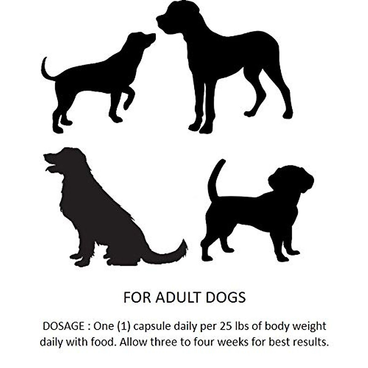 Essential Pet Probiotics with Direct-fed Microorganisms for Digestive Support in Dogs