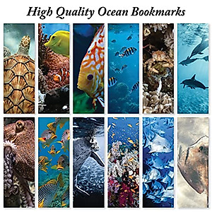 JBH Creations Ocean Animal Bookmarks - Pack of 48