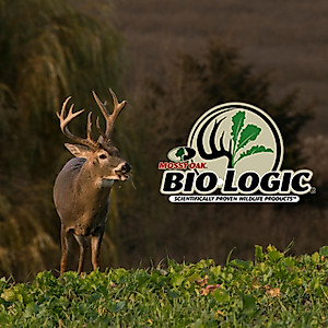 BioLogic Chicory Additive Feeder, 1-Pound