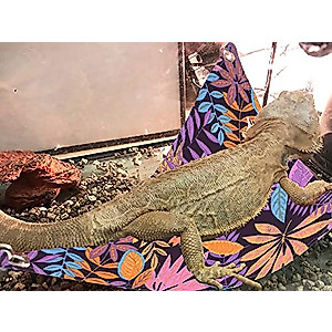 Bearded Dragon Hammock, Bearded Dragon Bed Lizard Lounger Soft Canvas Reptile Hammock for Reptile Habitat Lizard Reptile Tank Accessories (Purple, 15.7 ''x 15.7'' x 19.8'')