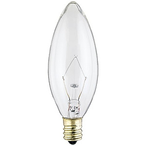 Westinghouse 4027 60-Watt, B10 Decorative Ceiling Fan Bulb, Candelabra Base, Clear, 2-Pack
