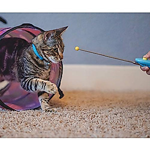 CAT SCHOOL Clicker Training Kit for Cats - 1 Cat Training Clicker, 1 Target Stick, 1 Step-by-Step Instruction Booklet - Clicker Tools for Cat Training, Fist Bump Training, Positive Behavior