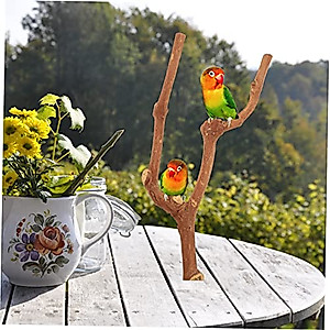 Budgie Cage Accessories Bird Screw Mount Toy- Bird Perch can Help Increase Pets' Activity Space, a Nice Toy for Parrot. It Will give Them a Good Experience.