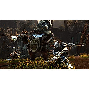 Kingdoms of Amalur Re-Reckoning - Nintendo Switch