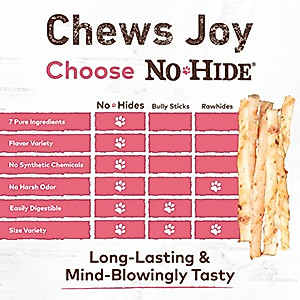 EARTH ANIMAL No Hide Stix Salmon Flavored Natural Rawhide Free Dog Chews Long Lasting Dog Chew Sticks | Dog Treats for Small Dogs and Cats | Great Dog Chews for Aggressive Chewers (3 Pack)