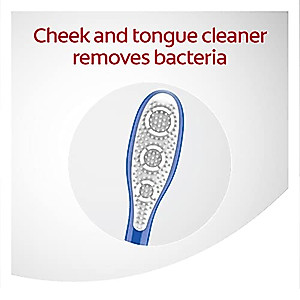 Colgate 360 Adult Toothbrush, Medium (4 Count)